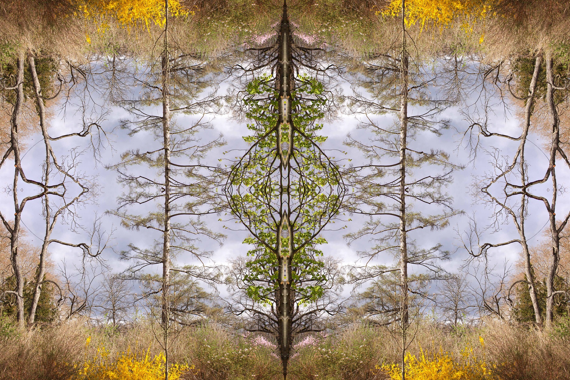 【感動するフルート曲：クラシック26選】初級者、中級者、上級者別にご紹介♫ - フルート情報満載でっさいIrassai